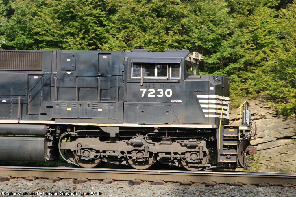 NS 7230